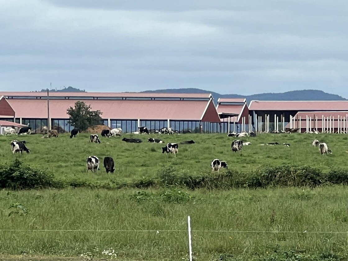 About - Lakeview Cheese