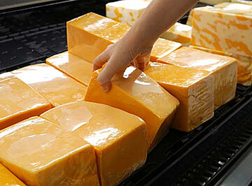 Products - Lakeview Cheese